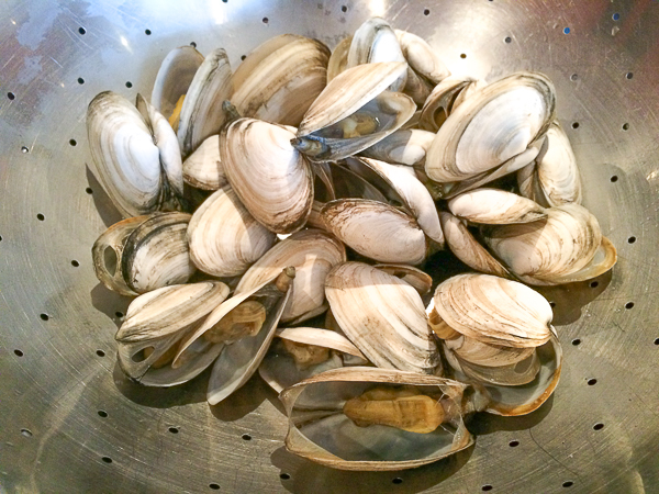 Pêche aux coques, ou le bonheur aux Îles de la Madeleine!