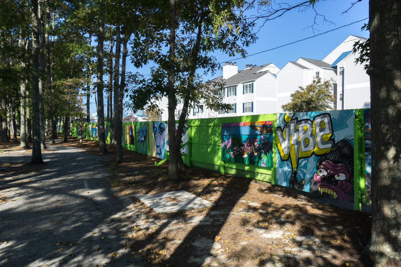 Virginia Beach - Explorez le ViBe Creative District - Moi, mes souliers