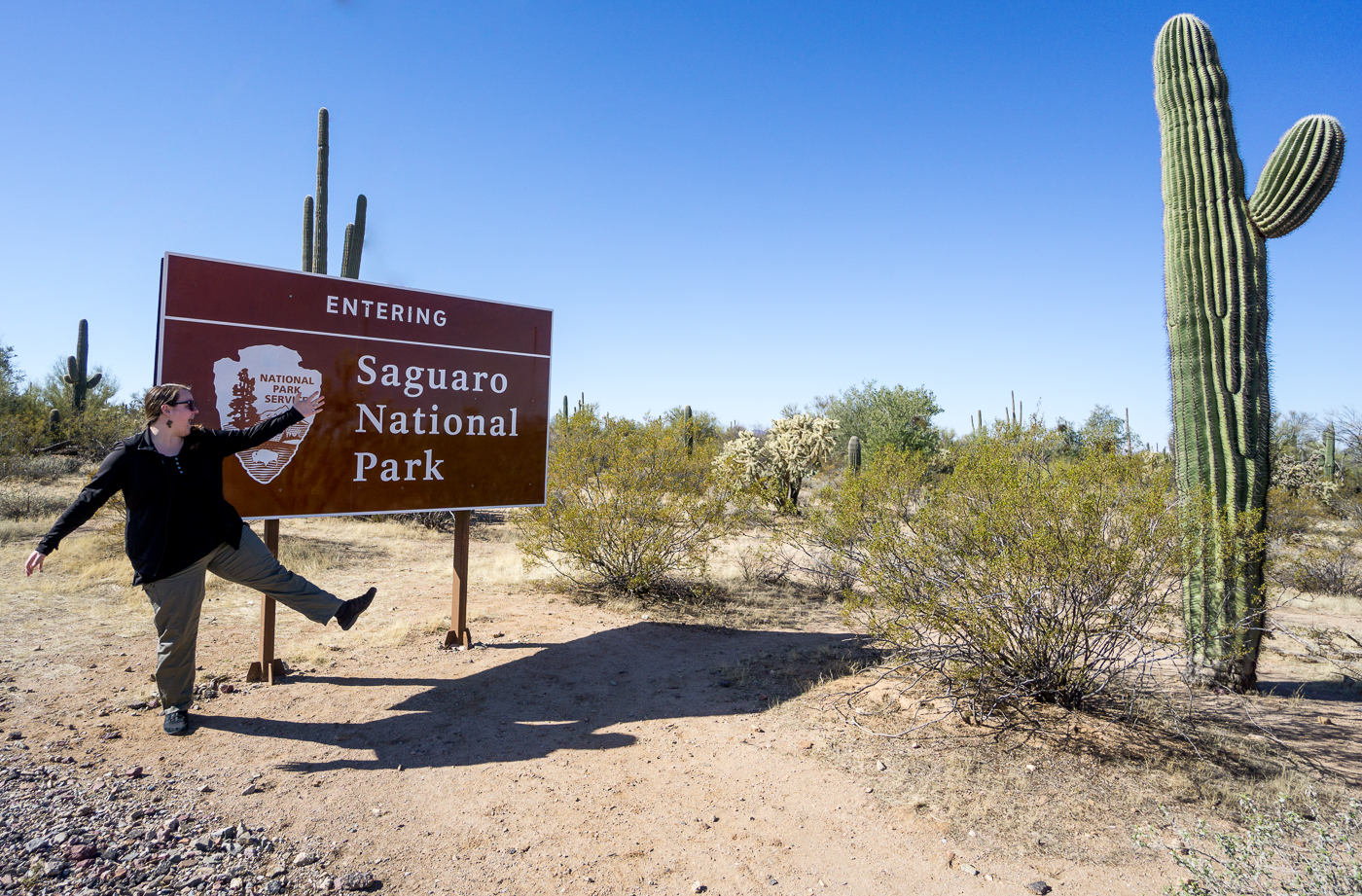Saguaro National Park ou les cactus d'Arizona | Moi, mes souliers