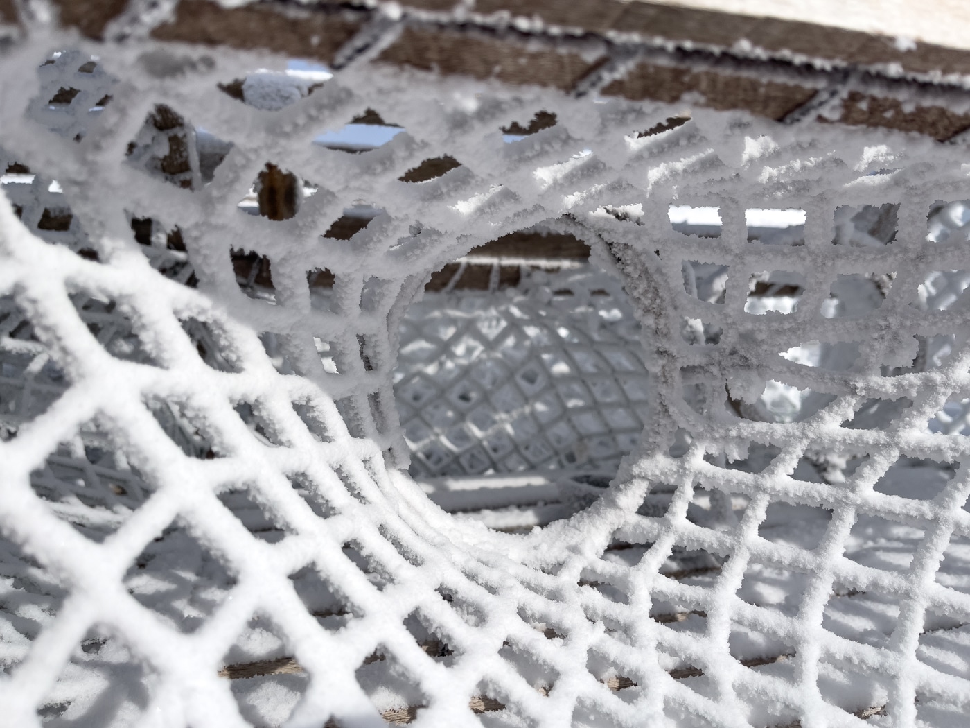 Quoi faire en Nouvelle-Écosse en hiver | Moi, mes souliers