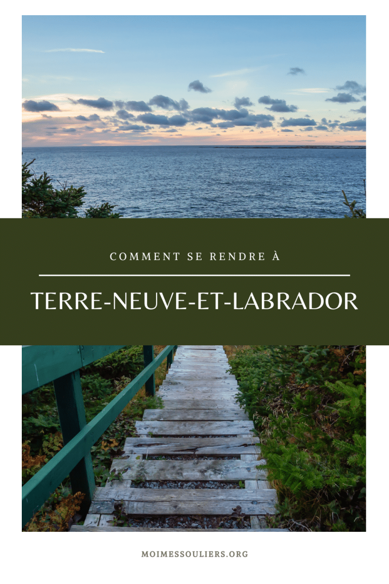 Comment se rendre à Terre-Neuve-et-Labrador? - Moi, mes souliers